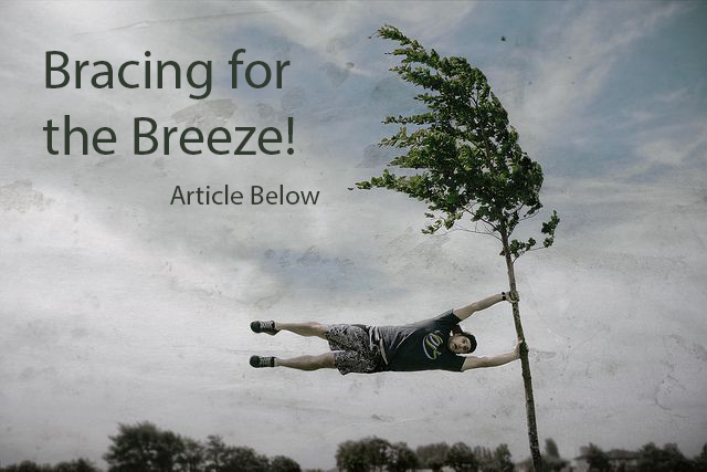 Bracing for the Breeze: 10 Windiest Areas in U.S. – PillowWeights